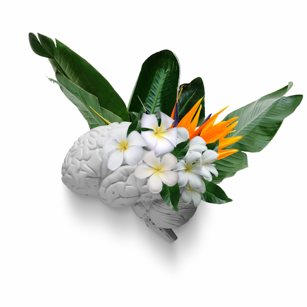 Flourished You | Holistic Well-being Coaching for a Thriving Life